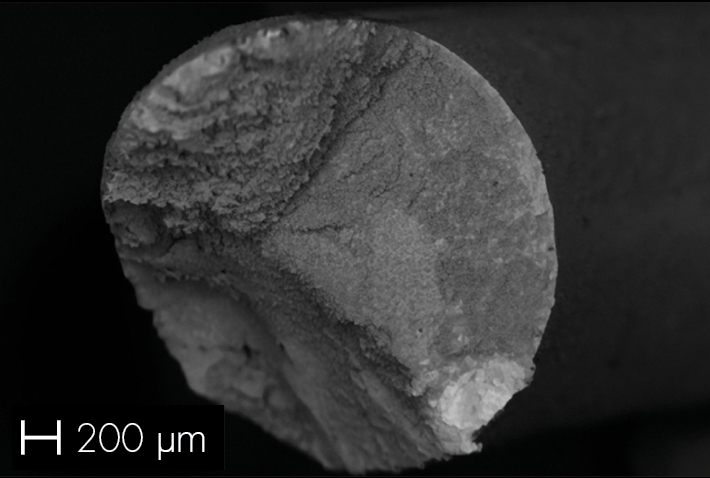 Stress Accelerated Grain Boundary Oxidation (SAGBO) in Nickel Alloys ...